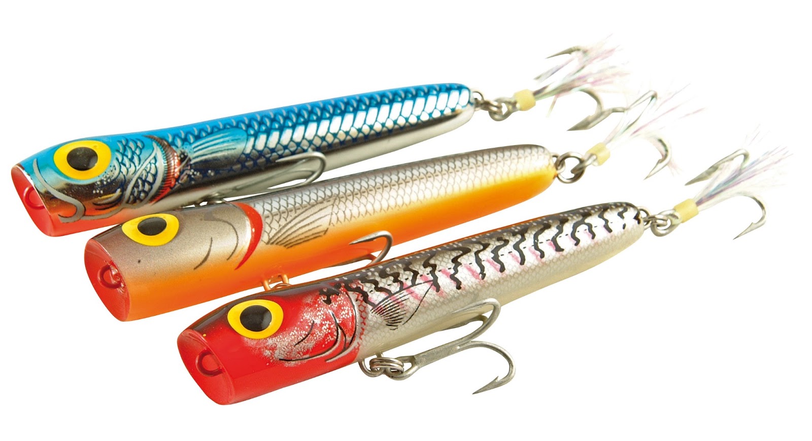 Pesca De Orilla (Surf Fishing): Lo Básico para Empezar a Pescar