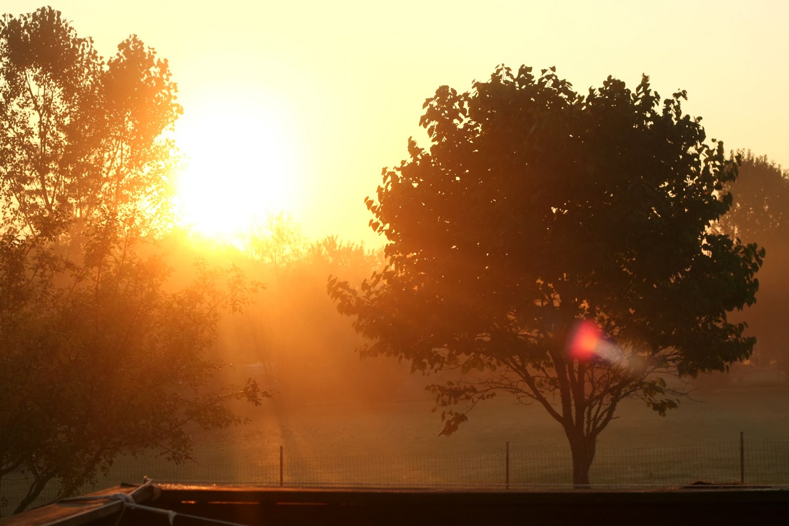 meanderings . . . : photography club: natural lighting techniques