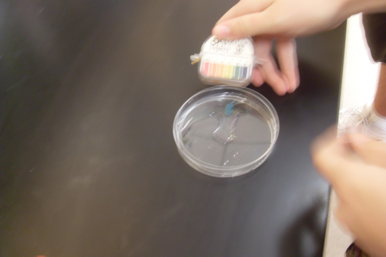 Forensics Project: Class Experiments