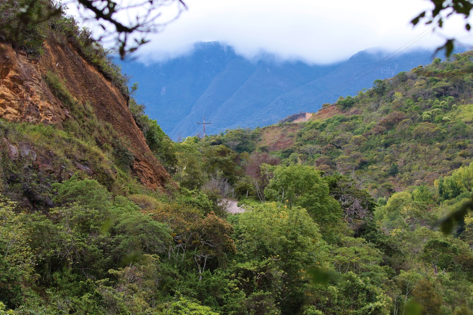 Nuestro bello mundo...: Excursion Parque Nacional El Tama, Edo. Tachira ...
