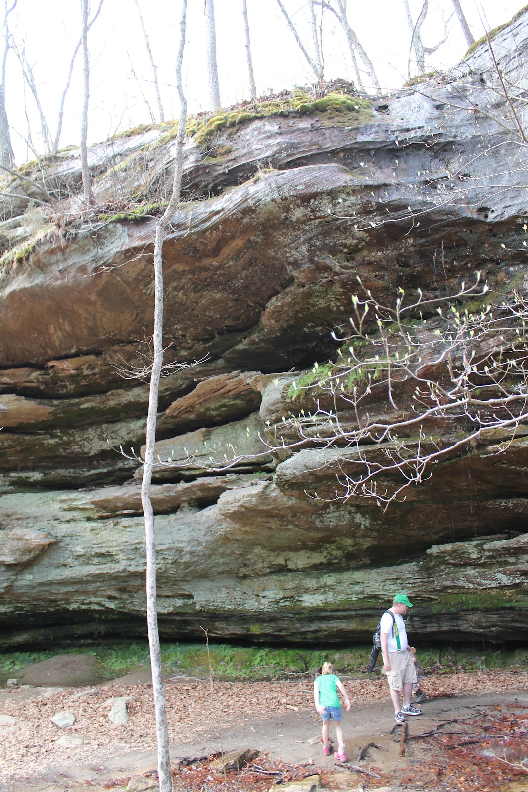 The Missouri Mom: Pickle Springs Natural Area