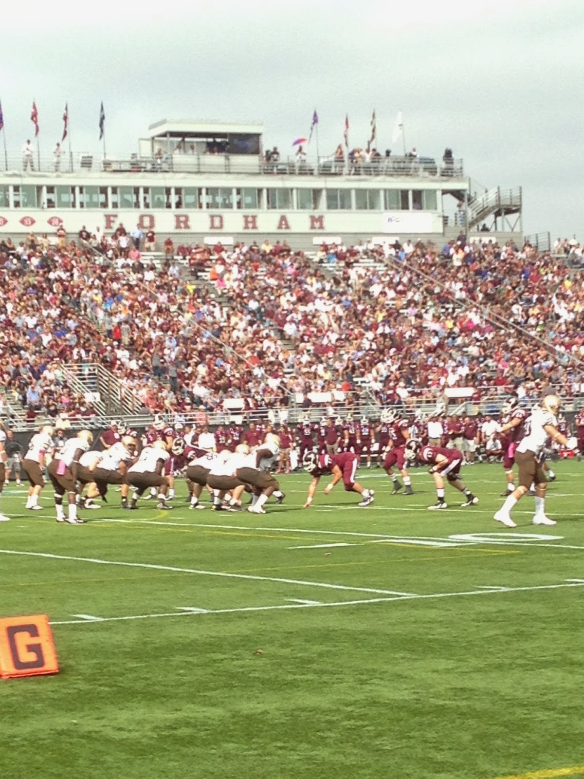 I AM A FORDHAM RAM: Fordham in the News!