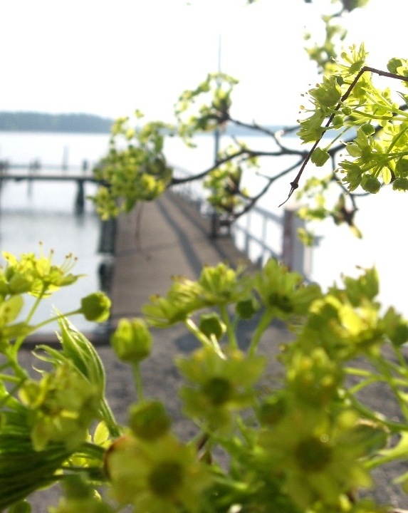 Olo & Ruoka (huone) Tammisaaressa: Tammisaari Finland (English site)