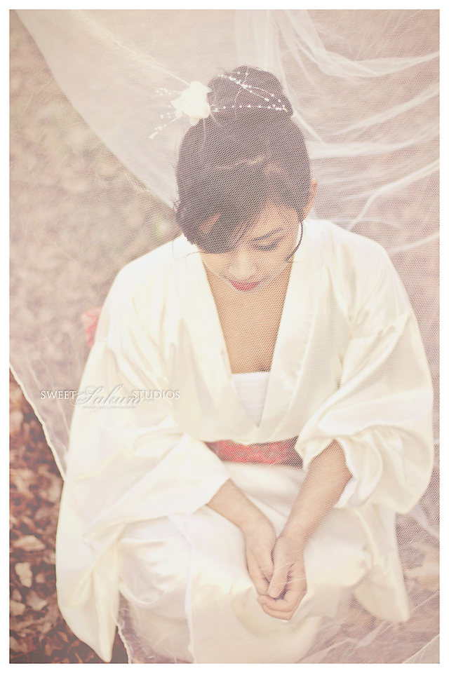 Sweet Sakura Studios: Inspired by Princesses | Mulan