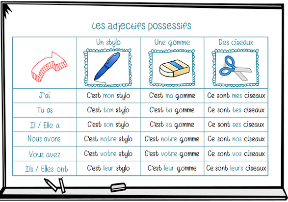 BIBOFLE: Exprimer la possession - Les adjectifs possessifs