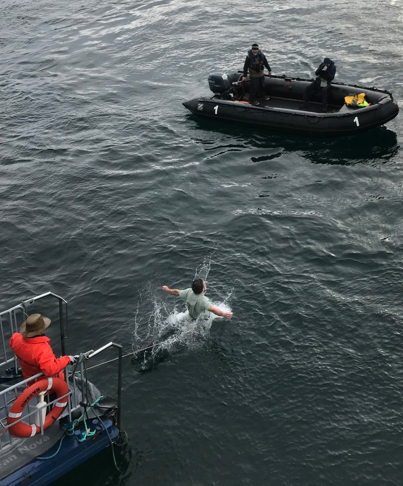 Cathy's Penguin Travels