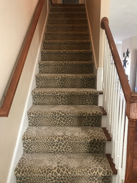 Bolling With 5: New Stair Carpet ~ Animal Print!