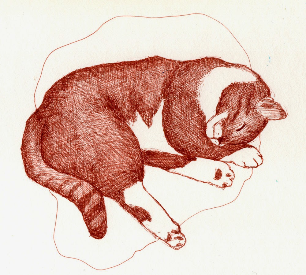 InkTracks: hatched cat, learning from Andrea Joseph