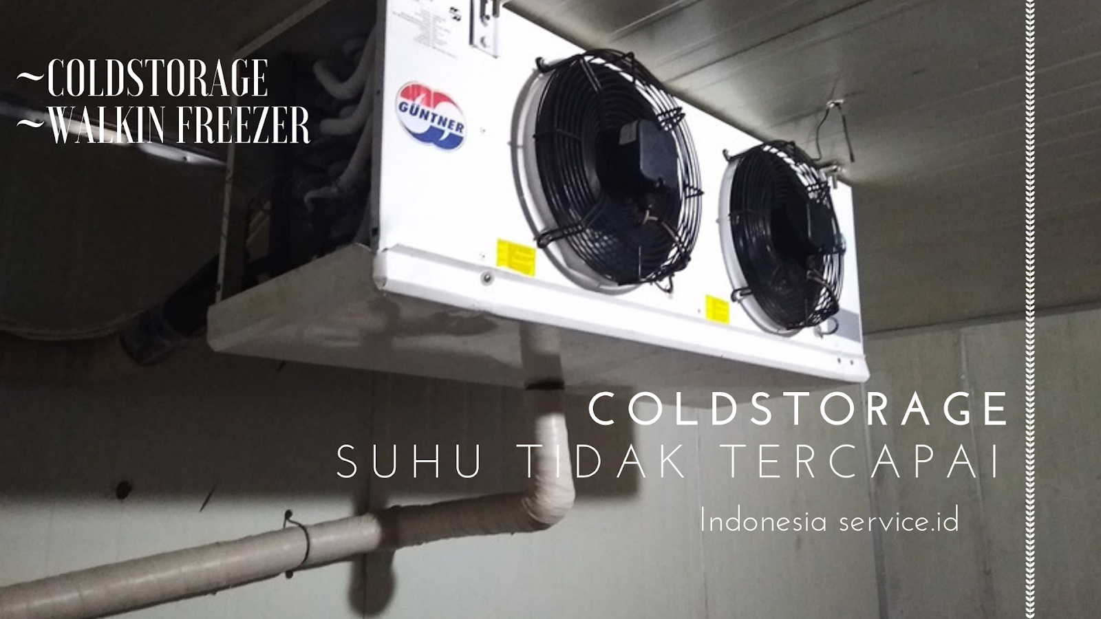 COLD STORAGE INDONESIA SERVICE