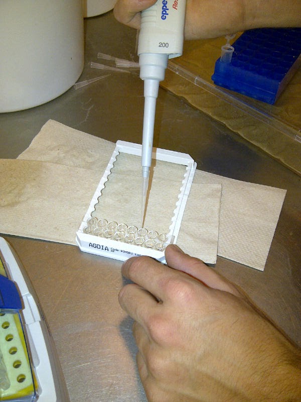 University of Illinois Plant Clinic: Bacterial Leaf Scorch Testing at ...