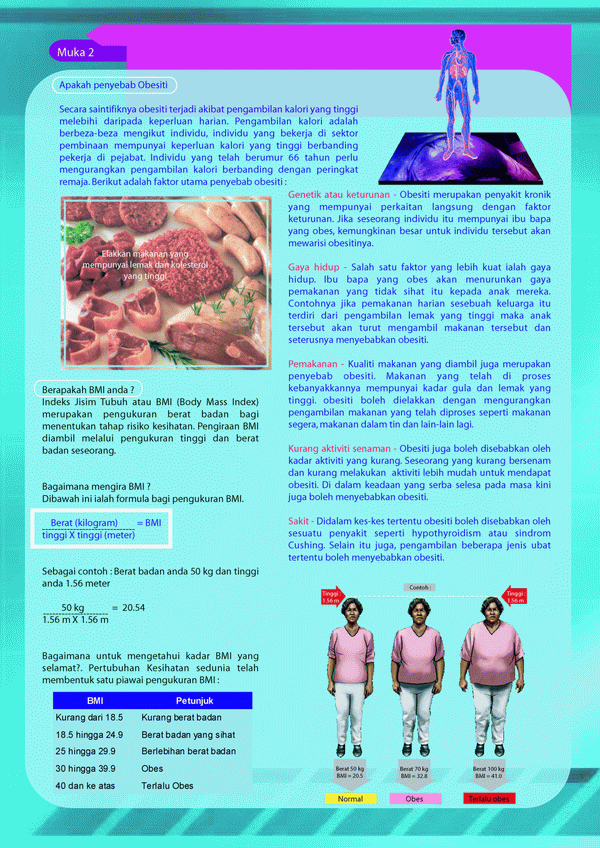 AMALAN HIDUP SIHAT: PUNCA-PUNCA OBESITI