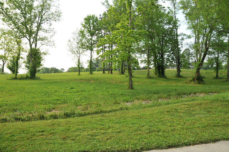 design dump: a little about lots (how to pick a building lot)