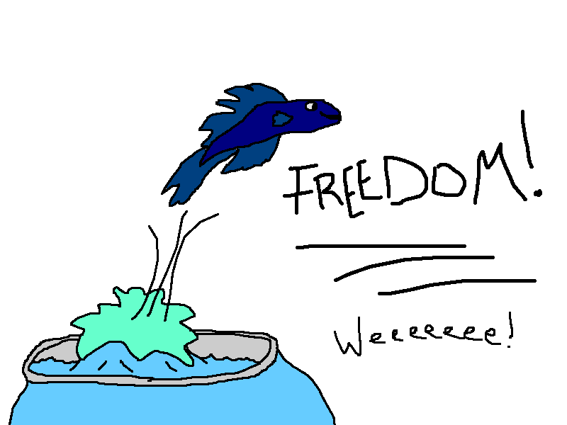 Haley's Comic: August 2011