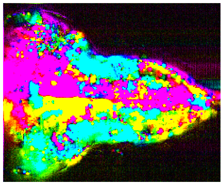 Digithead's Lab Notebook