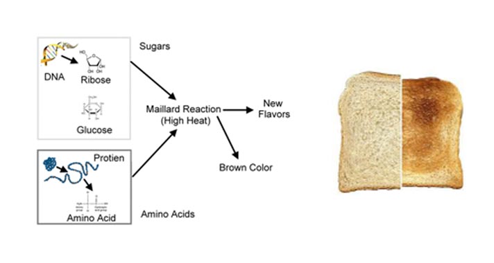 EXAMS AND ME : Acrylamide