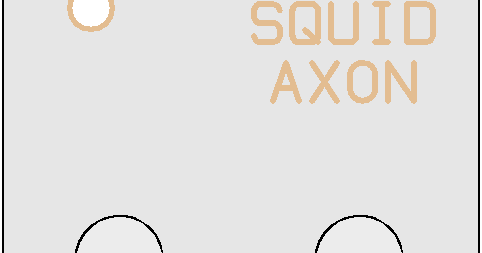 nonlinearcircuits: Squid Axon
