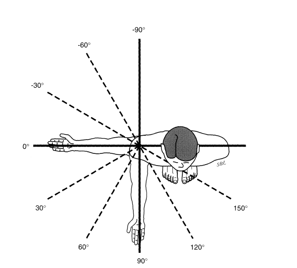 UW Shoulder and Elbow Academy: Shoulder motion in three dimensions