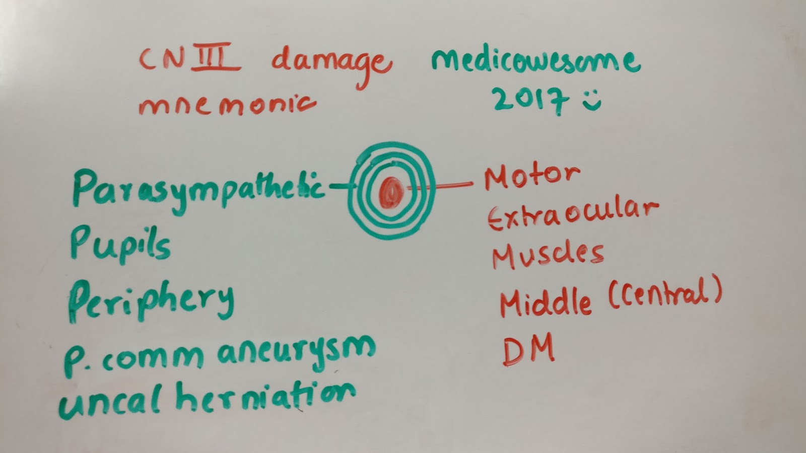 Medicowesome: Cranial nerve III damage (Oculomotor nerve damage mnemonic)