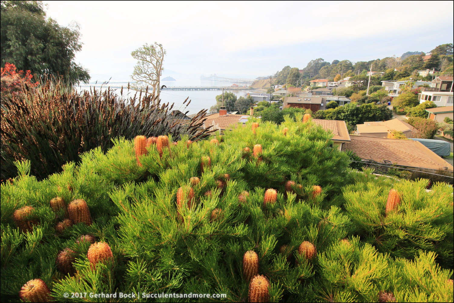 The Wave Garden in Point Richmond: one of my favorite spots in the Bay Area