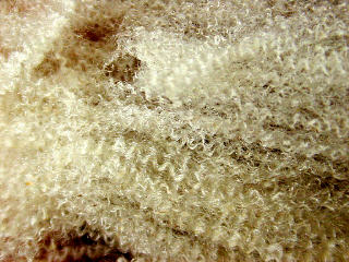 Different types of wool and Its Classification. ~ Yarn Manufacturing