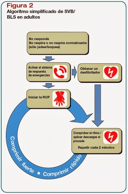 Protocolo de Reanimacion Cardiopulmonar