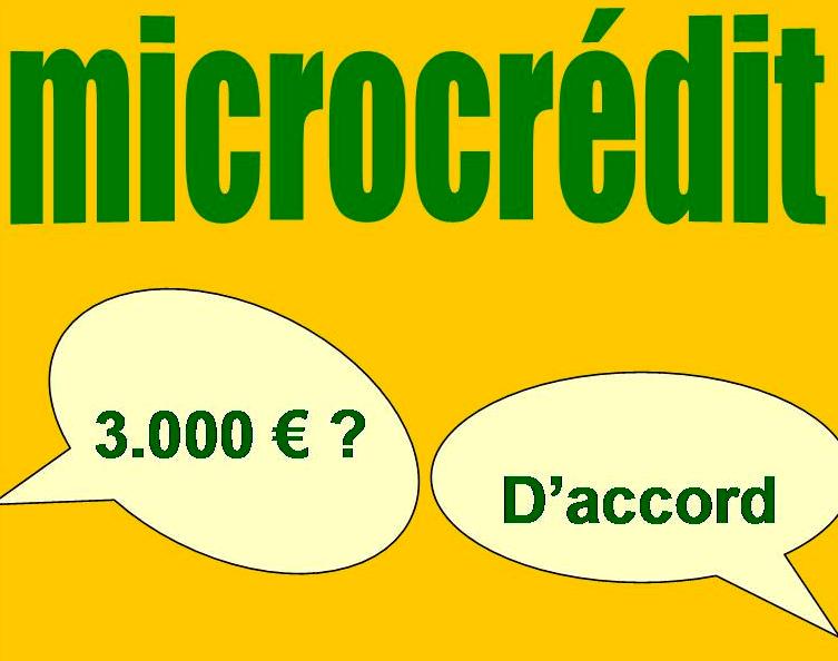 LES INFOS DE LA MICROFINANCE: Le microcrédit, une solution pour accéder ...