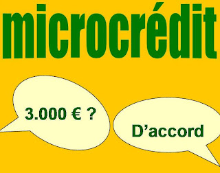 LES INFOS DE LA MICROFINANCE: Le microcrédit, une solution pour accéder ...