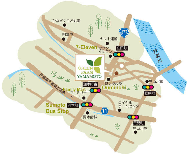 Blueberry Picking - Shiga, Japan