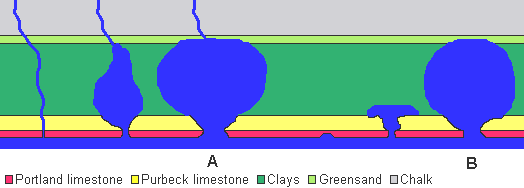 Landforms in the World: Coastal and Oceanic Landform (19. Cove)