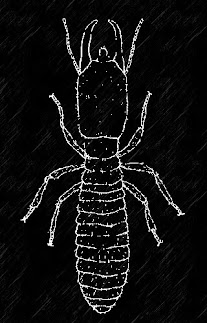 Dinámico, Beligerante y Nadaico: Firme como un triángulo equilátero.