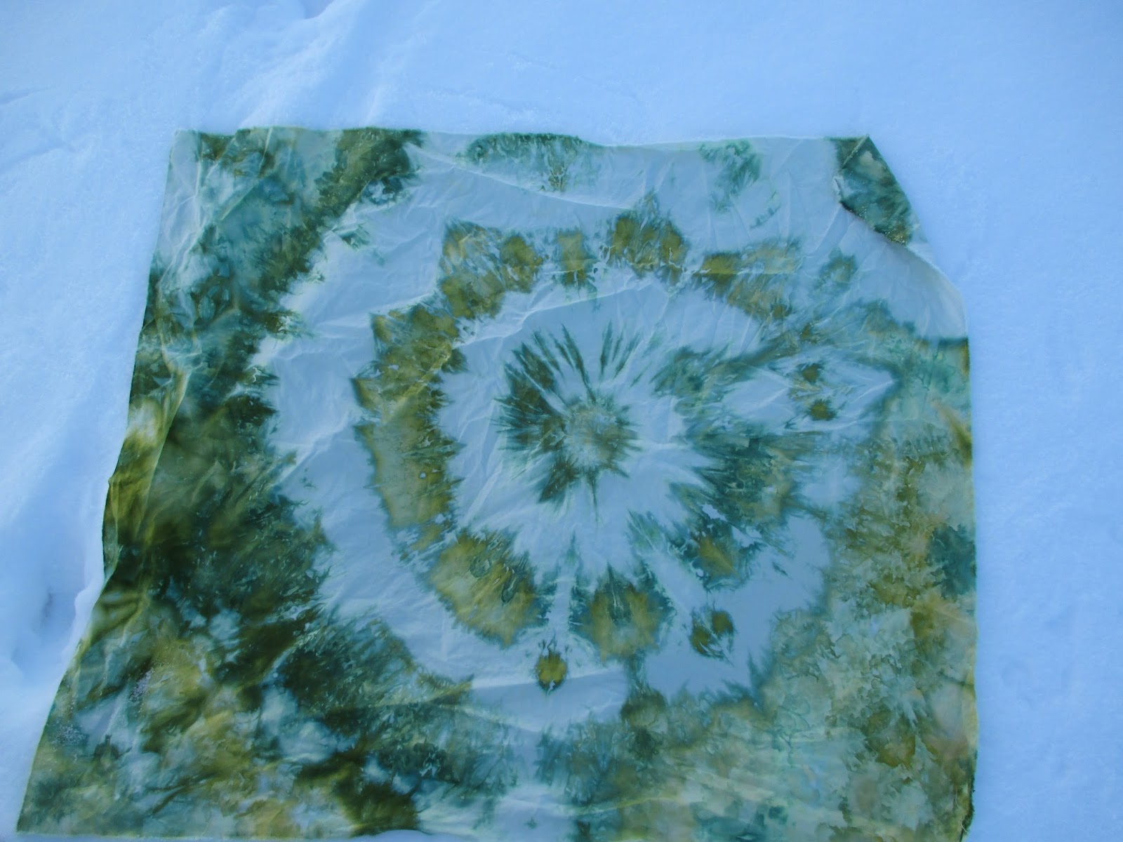 Bunchberry Studio: Snow Dyeing