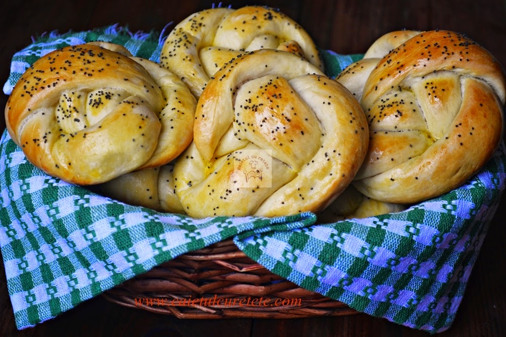 Japoneze - CAIETUL CU RETETE