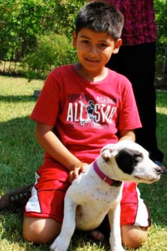 Barrio Dogs: Barrio Dogs for Better Communities - update