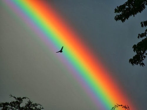 Interpensando: El número 7 en la cultura