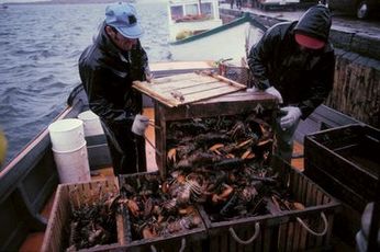 PLFA Building Membership-Support | Country 100.7