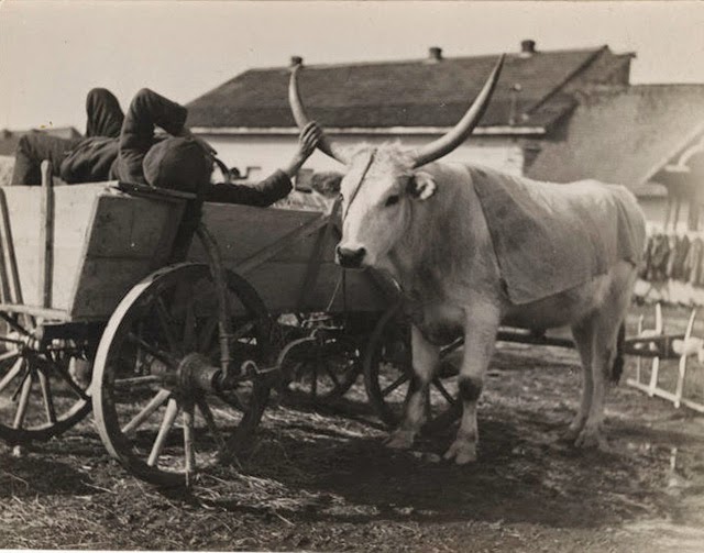 20 Amazing Black and White Photographs of Jewish Life From the 1930s ...