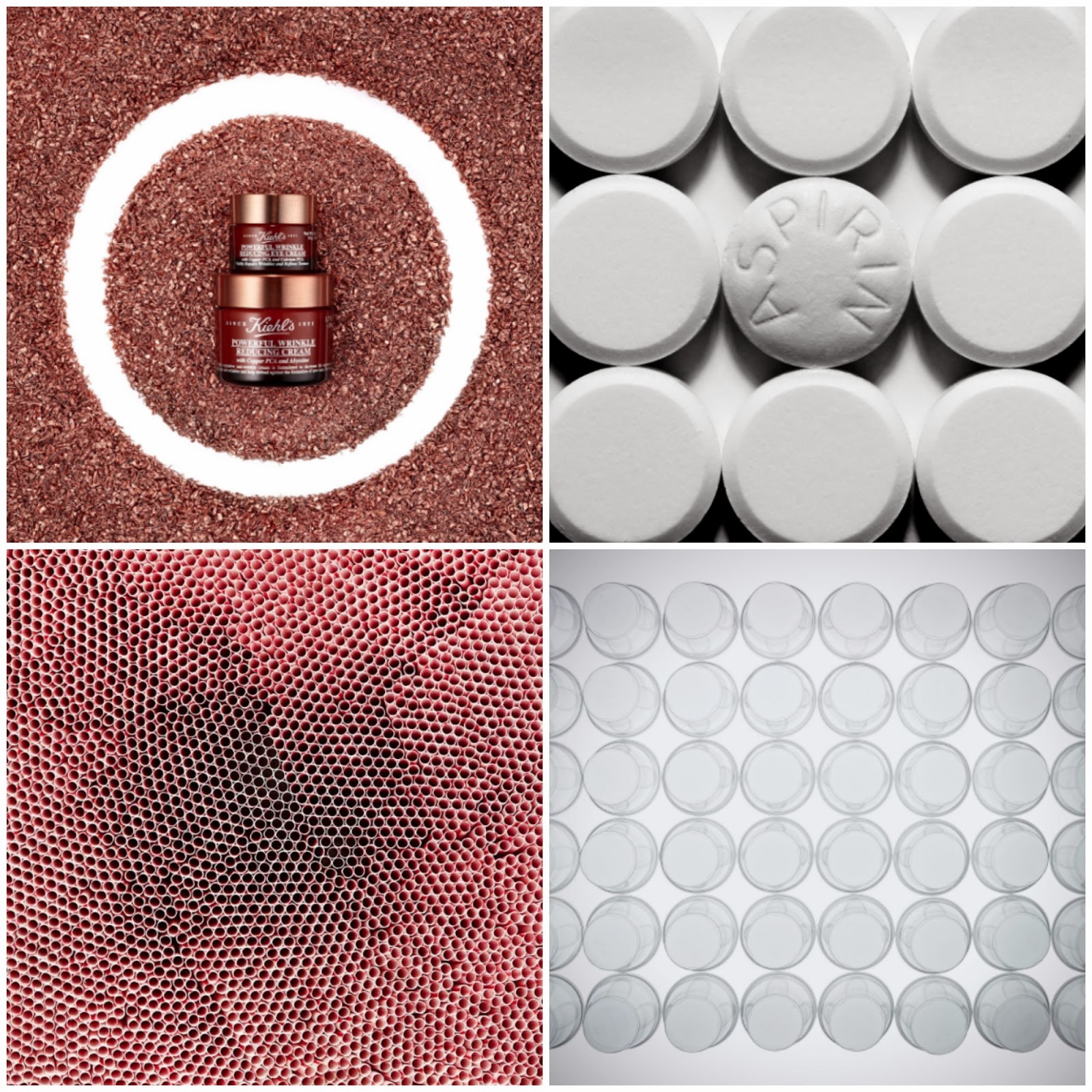 Circles: Sam Kaplan | Photographer