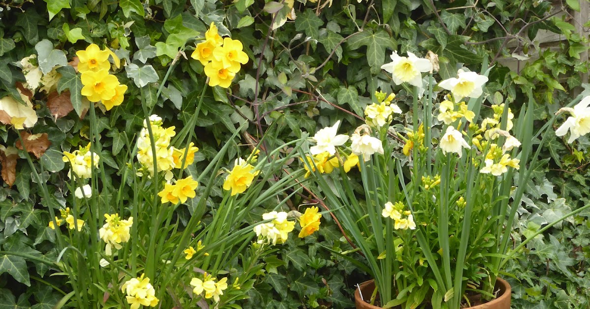 T h e R o s e b a n k D i a r i e s: A Seasonal Calendar - The Magic of ...