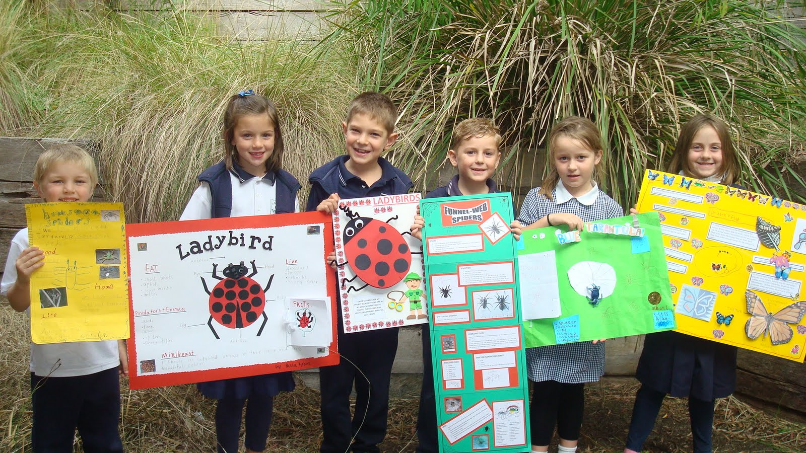 What's Happening at Rosebud Primary School