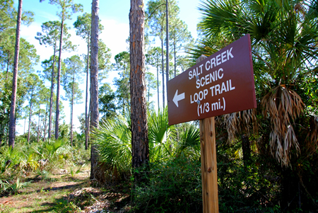 Desolation Florida: The Dixie Mainline and Shired Island