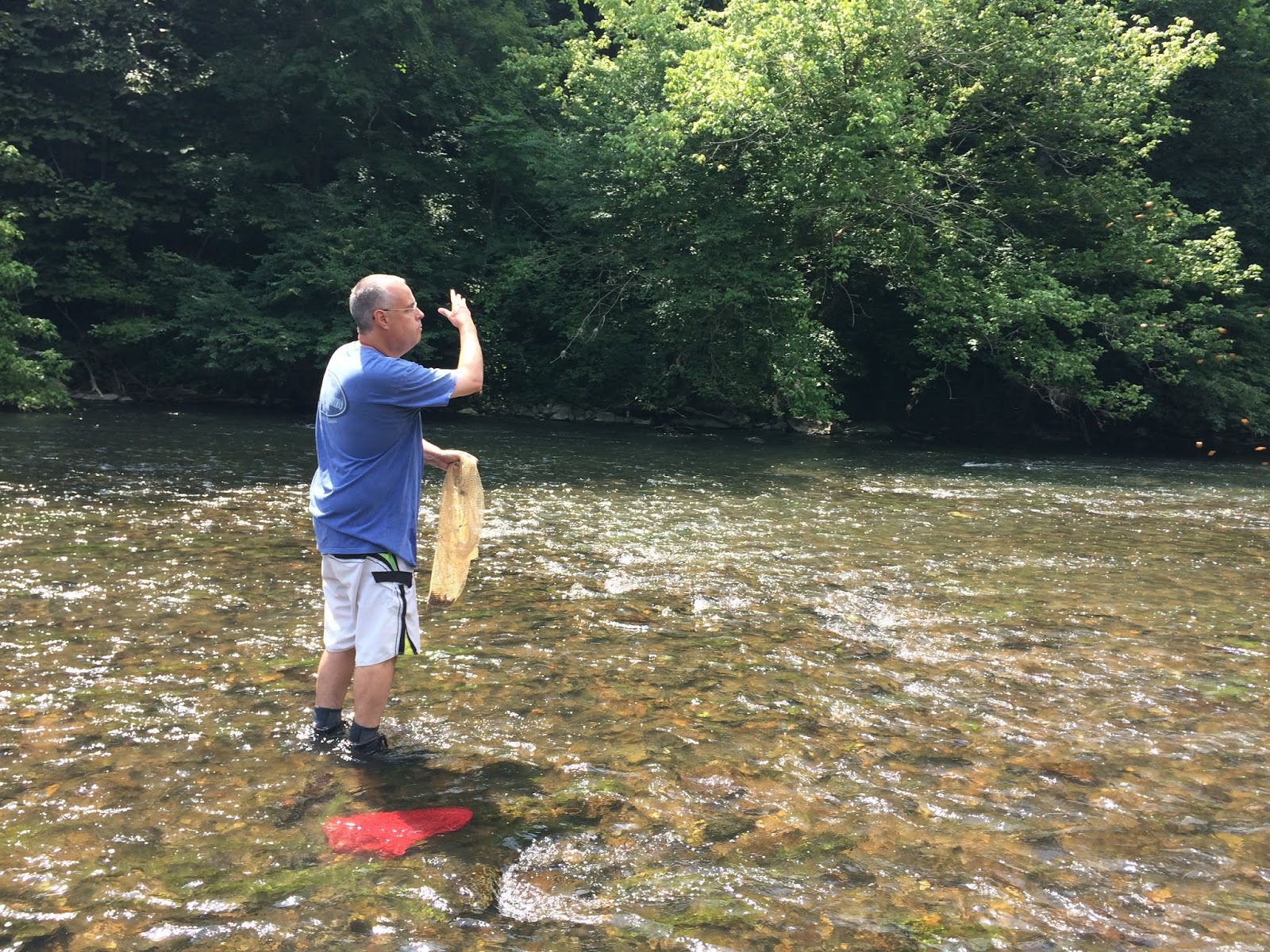 Virginia Water Radio: Episode 435 (8-27-18): Virginia's Freshwater ...