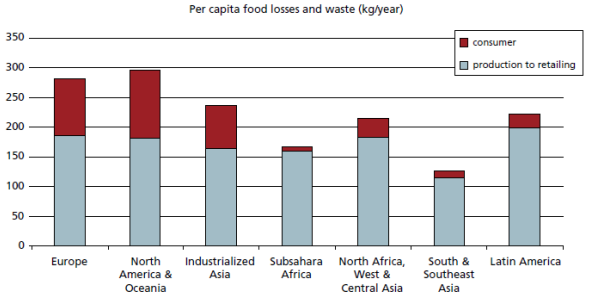 STOP WASTING FOOD!!: Overproduction the main cause of food wastage