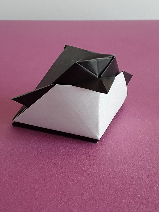 F. ZIEGLER : Origami à Nancy et autres billevesées: Akiko YAMANASHI ...