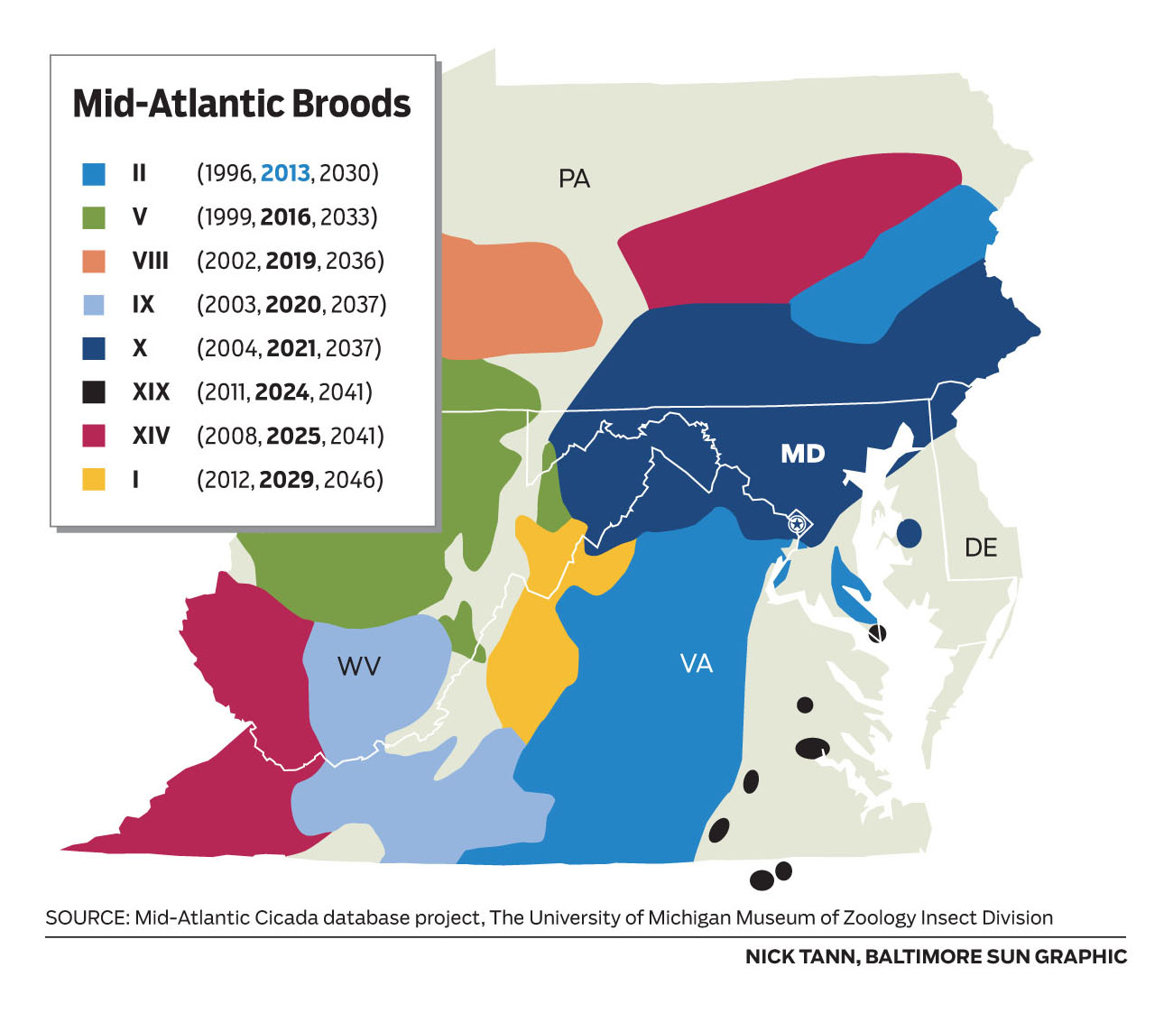 Sith-Cada, Return of the Broodii