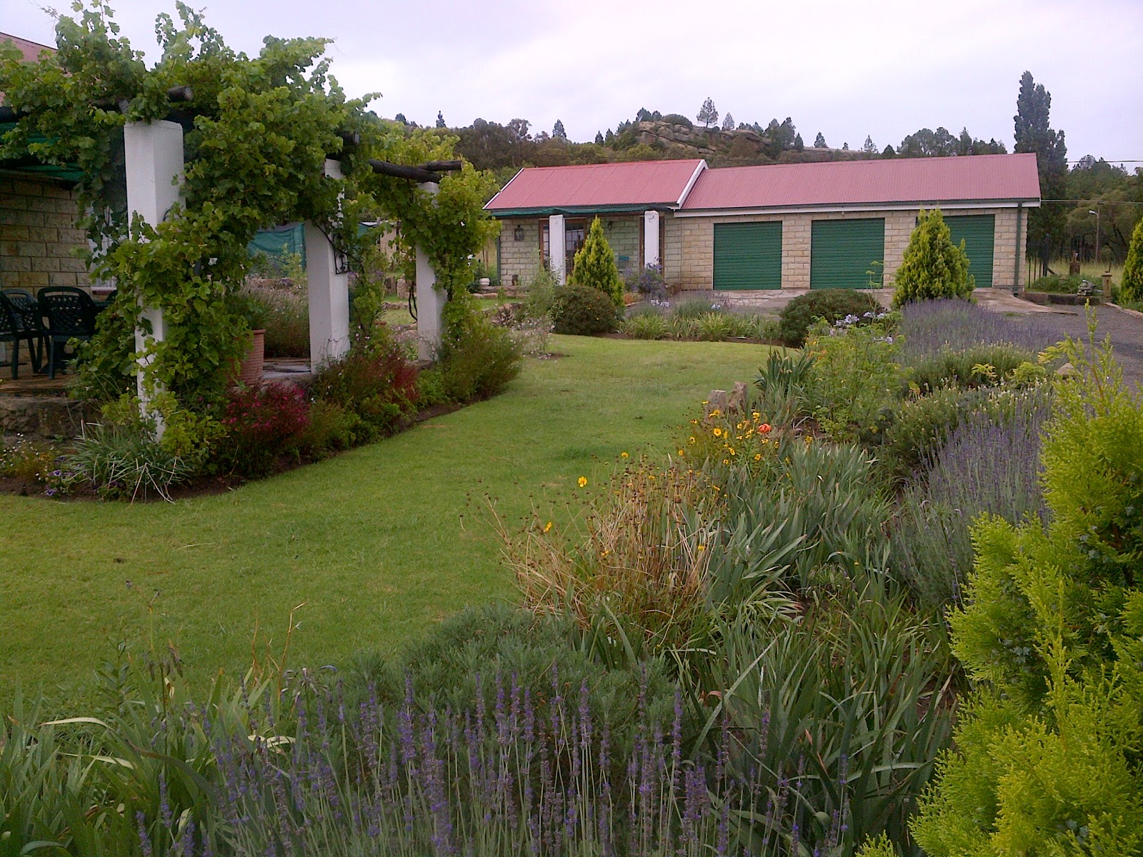 Paul Roux Village: 2013