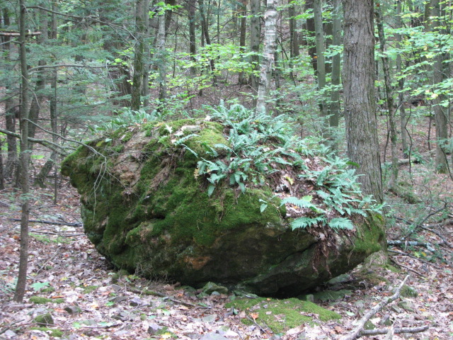 Red Rocks Park -South Burlington, Vermont | Litter with a Story To Tell