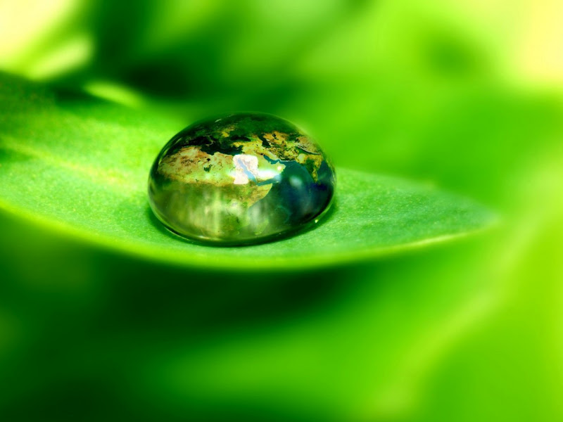 SU DAMLASI RESİMLERİ-Manzaralar