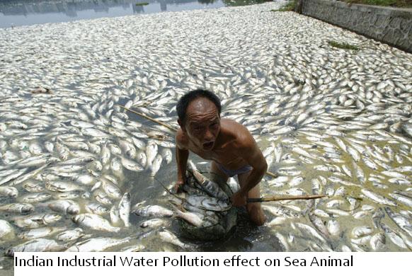 Water Pollution Effects Blog 2015: Indian Industrial Water Pollution ...