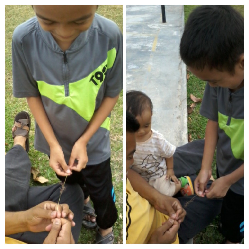 cinta-rasul: Perlawanan rumput kemuncup