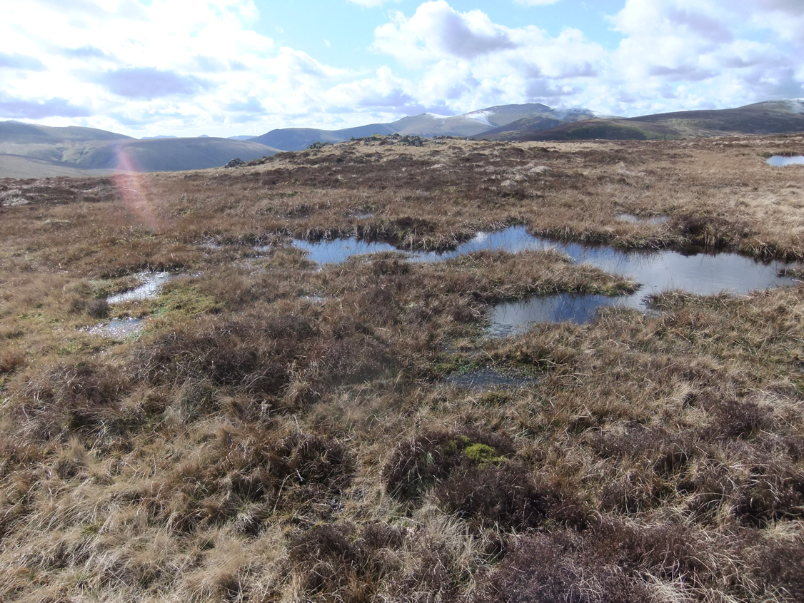 Keswick Rambles Lake District Guided Walks: Carrock Fell & High Pike ...